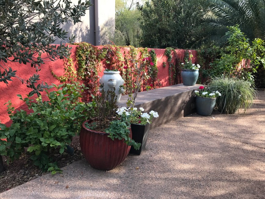 5 Things to Do During Spring Break With Your Kids