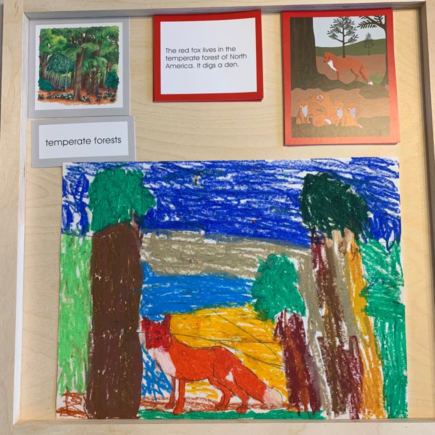 The Benefits of the Visual Arts