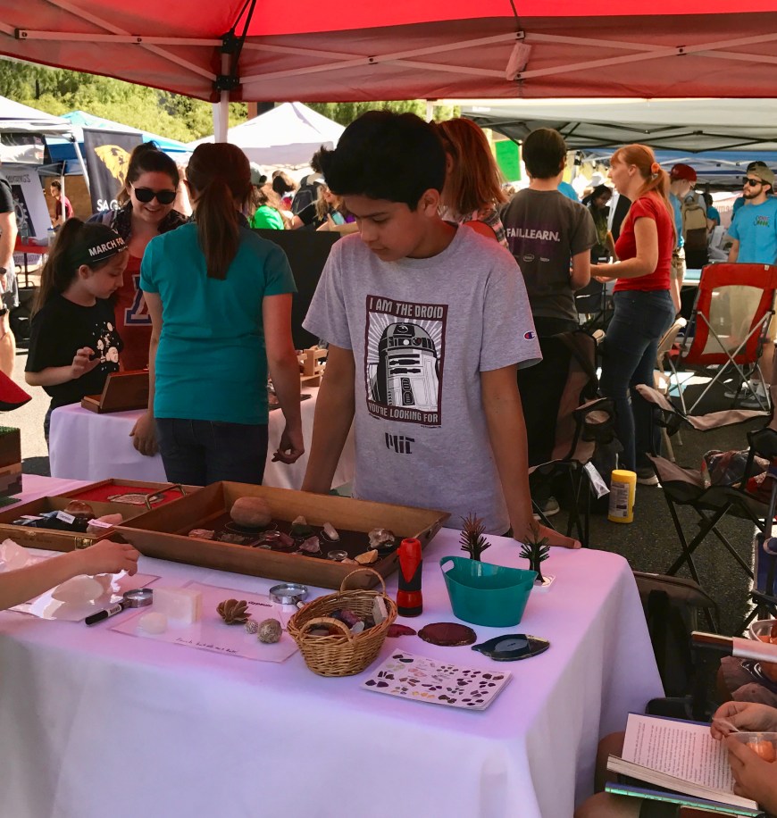 Encouraging Your Child’s Interests with a Collection