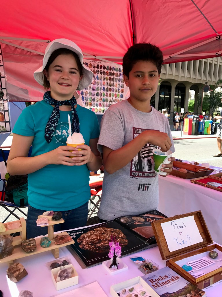 Encouraging Your Child’s Interests with a Collection